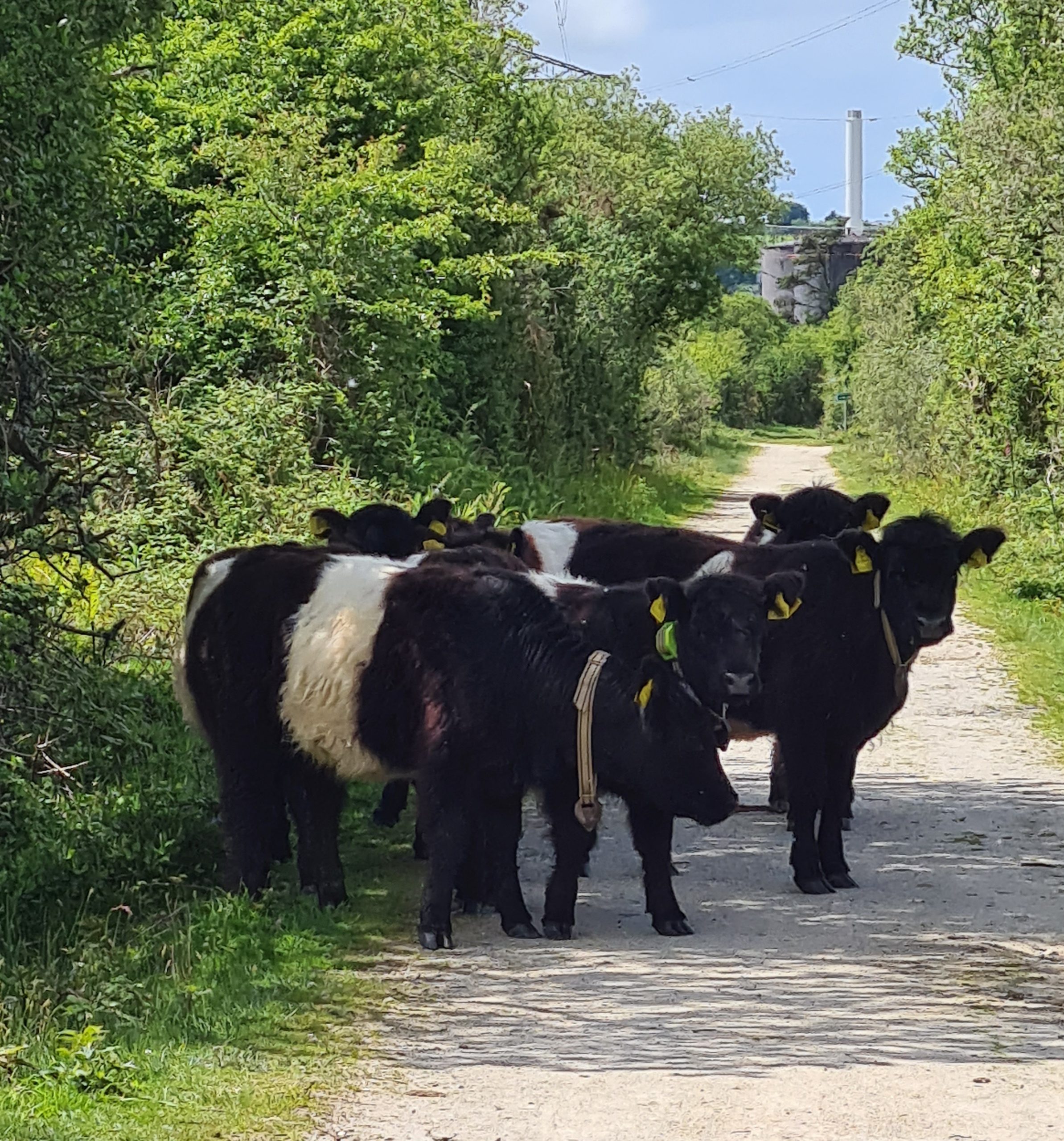 It’s not all about the beaches… – InspiredBySeaglass