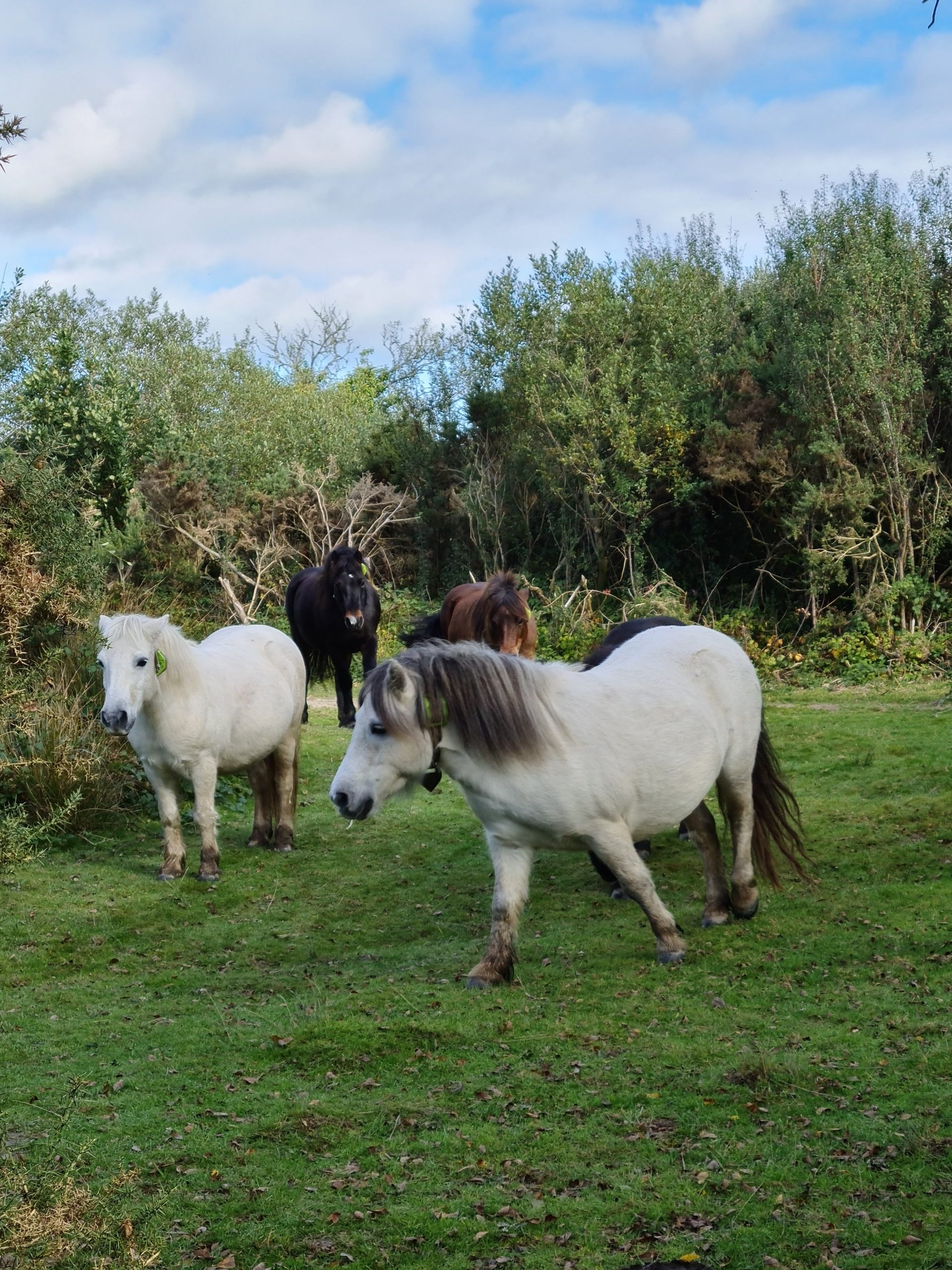 It’s not all about the beaches… – InspiredBySeaglass